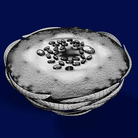 Fichier 3d Modèle 3d étiqueté Du Granuleux Tuberculeux Caseating