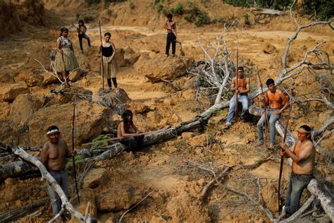 Scientists Warn The Amazon Rainforest Could Collapse In 50 Years And Turn