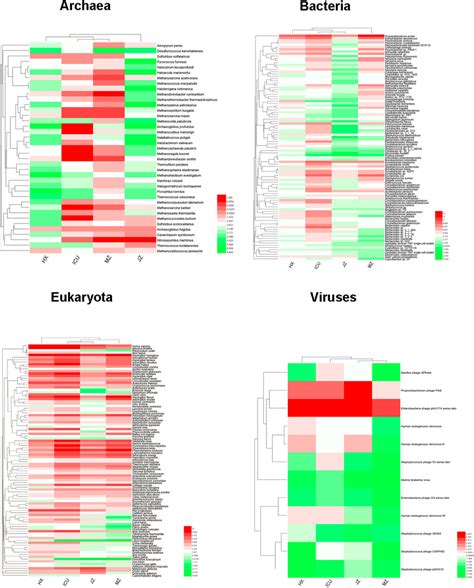 Heatmap Of Metagenomic Recoverd Species For Each Group Of Download Scientific Diagram