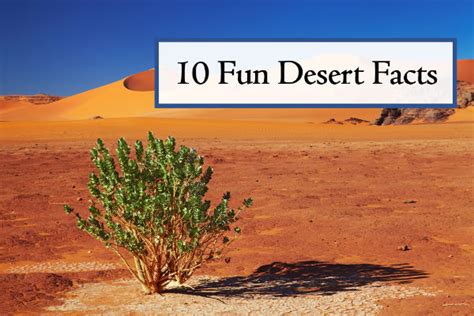 10 Facts About Deserts 40 Interesting Facts About The Desert Zgub