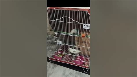 Eating Spinache 😊 Youtube