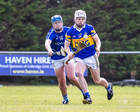 Chfc U16 Hurlers Play Celbridge Gaa In A Challenge Cumann Báire And Peile Chaisleán Cnucha