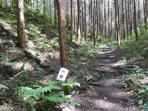徳次郎城の写真内堀 みっちゃんさん 攻城団