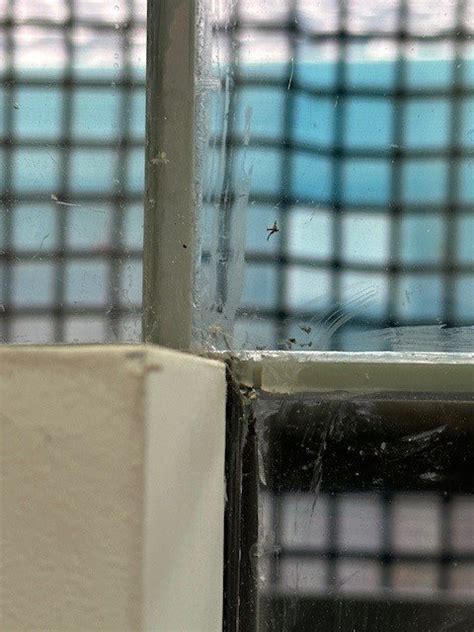 Building Defect Inspections — Build Assure Sydney S Expert Building Inspections