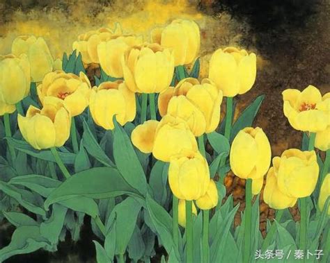 秦卜子陽光溫熱歲月如花你還不來我怎敢老去 每日頭條