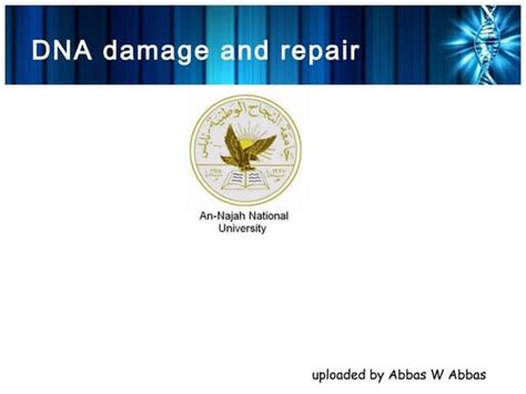 Dna Damage And Repair Ppt