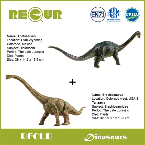 Apatosaurus Vs Brachiosaurus