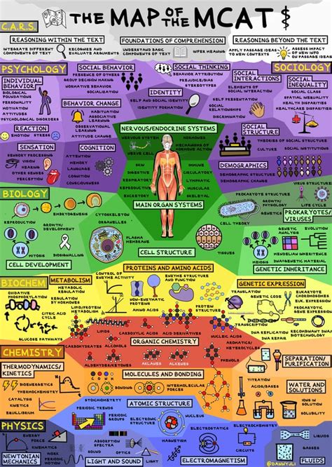 Osteocyte Vs Osteon Vs Osteoblastosteoclast Rmcat
