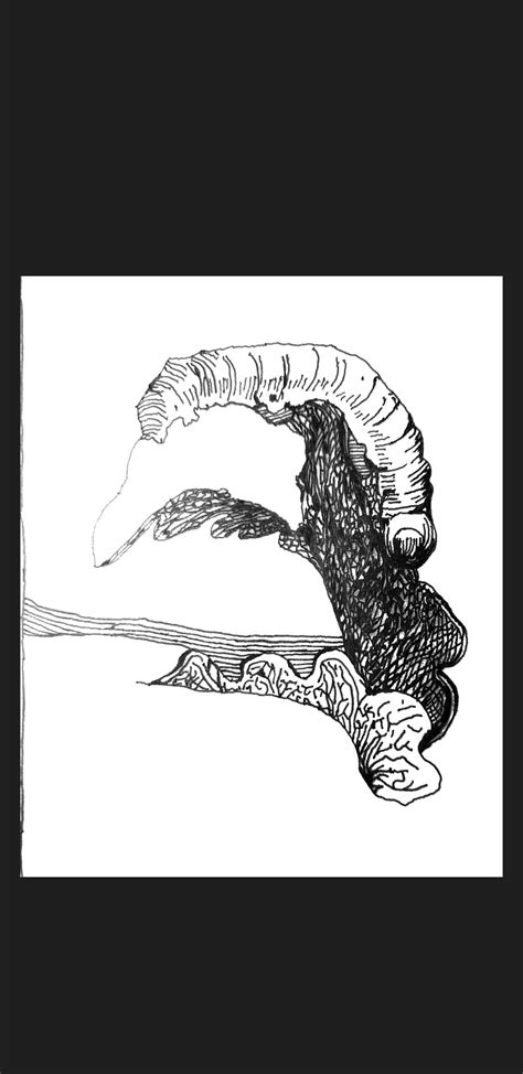 Printing An Image Via Bitmap R3dprinting