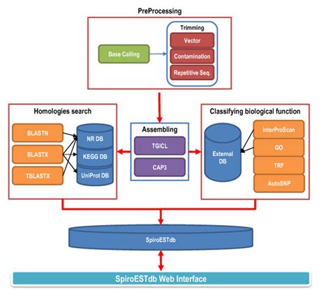 Workflow Schema Of The Pipeline The Architecture Of The Pipeline Download Scientific Diagram