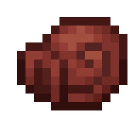 Snail Shell Surface Wiki Fandom