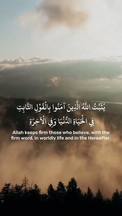 يثبت الله الذين امنوا بالقول الثابت قرآن Quran Youtubeshorts Youtube