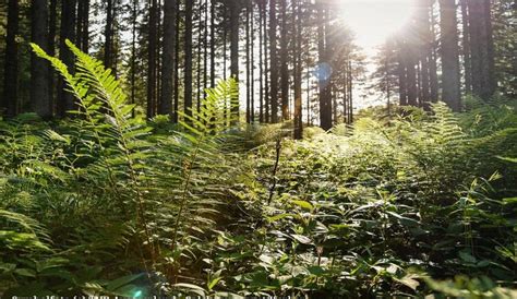 Friseur Soder Michaela