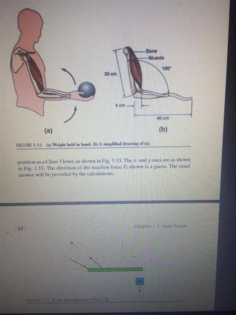 Solved Using The Following Arm Dimensions Calculate The Chegg Com