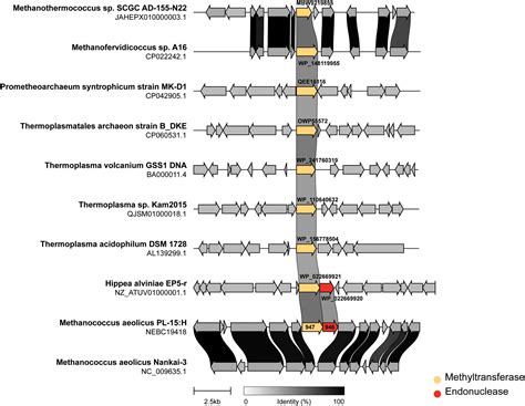 Complete Genome Assembly Download At Emil Bentley Blog
