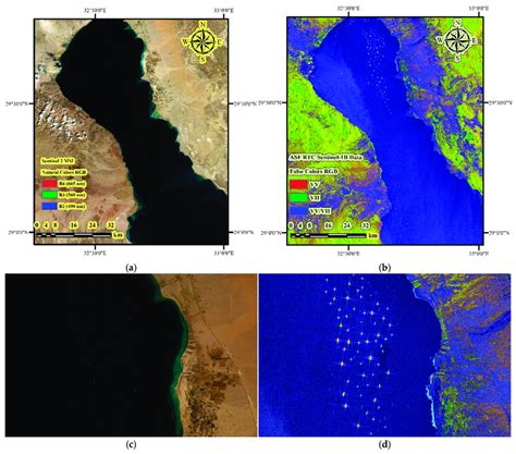 Optical Multispectral And Active Imaging Sar Data Based View Of The Download Scientific Diagram