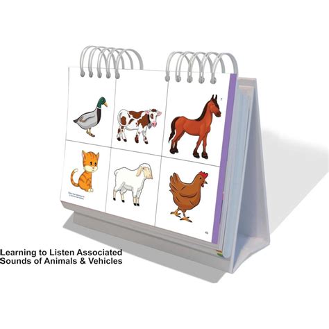 Taf Test Of Auditory Functioning