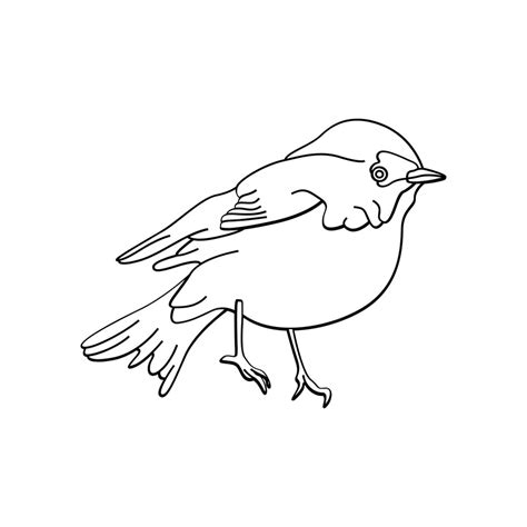 Premium Vector Bird Outline Vector For Coloring Book And Tattoo