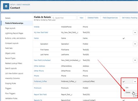 How To Delete A Custom Salesforce Object Common Issues Addressed