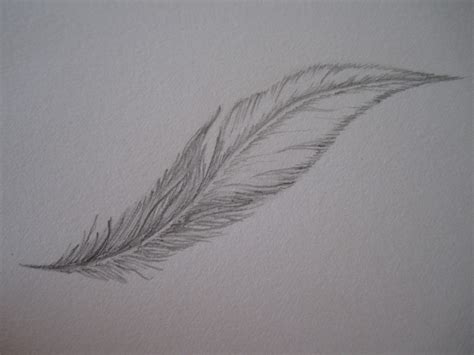 Wanna Draw A Feather How To Draw A Feather Drawing Drawing On Cut Out Keep