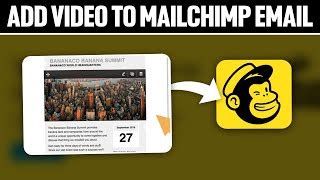 2024 Full Tutorial Adding Video To Mailchimp Email Step By Step Guide