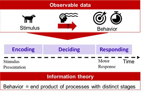 The Power Of Diffusion Models In Cognitive Decision And Clinical Sciences A Brief Introduction