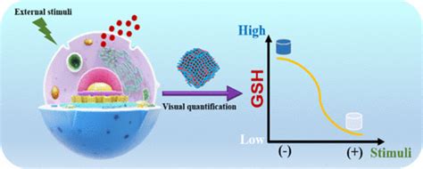 Molecular Network Bearing Fe N C Single Atom Nanozymes For Monitoring Intracellular Glutathione