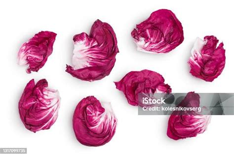 신선한 빨간 라디키오 샐러드는 클리핑 경로와 필드의 전체 깊이와 흰색 배경에 고립 된 잎 건강한 식생활에 대한 스톡 사진 및 기타 이미지 건강한 식생활 날것 농업