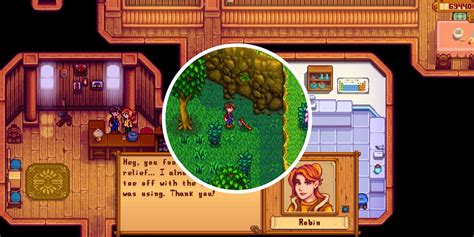 How To Find All The Eggs During Stardew Valleys Egg Festival