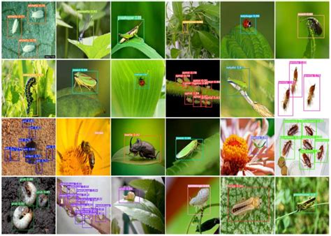 ultralytics on linkedin deep learning based detector yolov5 for