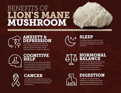 3 Simple Lions Mane Mushroom Recipes Healthy Huemans