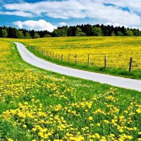 郑秀珍：从 何仙姑”再到 按摩女”，她这一生究竟经历了啥？演艺圈曹国辉感情