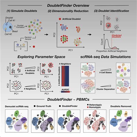 Doubletfinder Doublet Detection In Single Cell Rna Sequencing Data