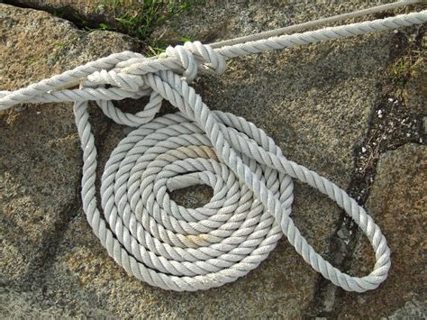 Pour Commencer… Calamus Scriptorius