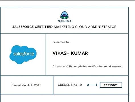 Vikash Kumar On Linkedin Marketingcloud Salesforce 2021goals Marketingautomation…