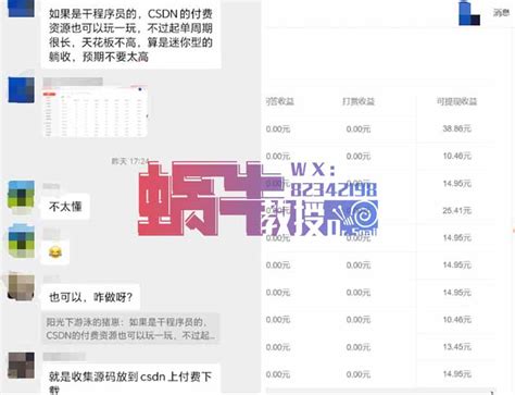 Csdn上传付费资源赚取收益项目，实现被动收入蜗牛教授博客