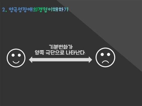 양극성장애 조울증 양극성삽화 양극성 장애 증상 네이버 블로그