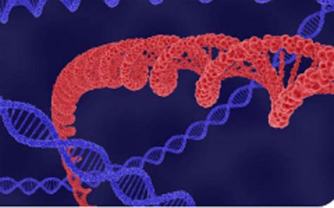 《科学家》：新形式的基因编辑的毒性风险有多大？ 知乎