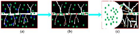 Sustainability Free Full Text Numerical Multifield Coupling Model