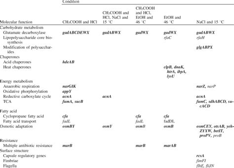 Summary Of Overlapping Molecular Functions Between Selected Conditions Download Table
