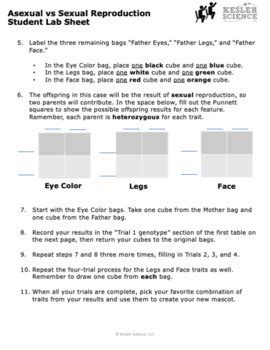 Sexual And Asexual Reproduction Inquiry Lab MS 6 8 Hands On By Kesler Science