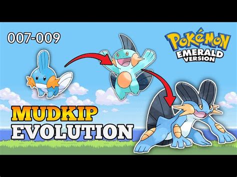 Marshtomp Evolution Ranking Every Starter Pokemons Middle Evolution
