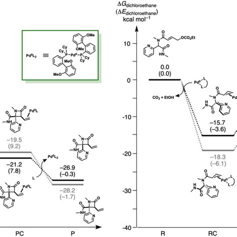 Reaction Energy Profiles And Activation Strain Analyses For The Left