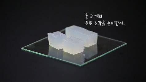 비상교육 중등 과학 3 5 1 1 세포의 표면적과 부피 사이의 관계실험영상 Youtube