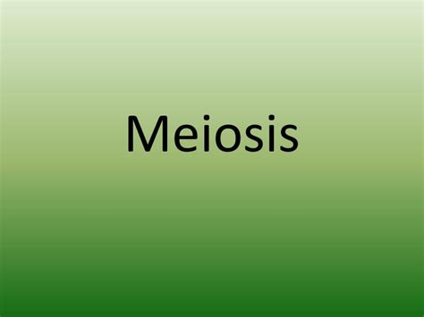 Ppt Meiosis Powerpoint Presentation Free Download Id 6980522