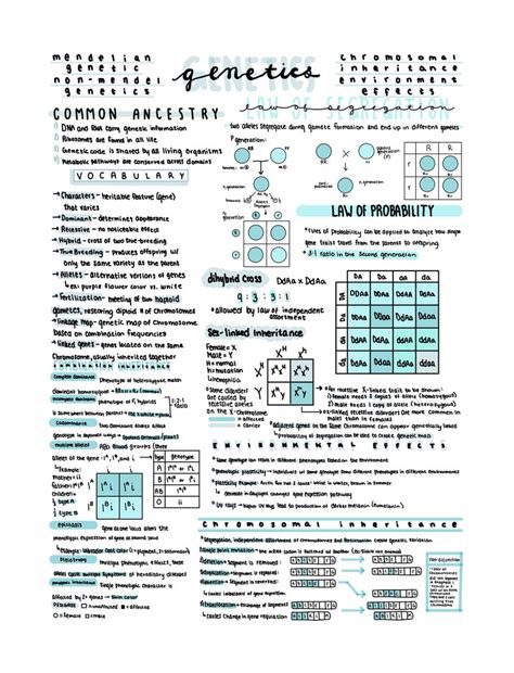 Ap Biology Unit 5 Review Notes Etsy