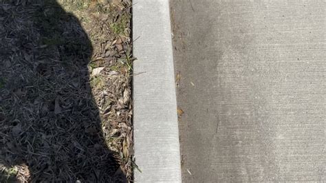 I Luv Walking 3 R Safeageregression