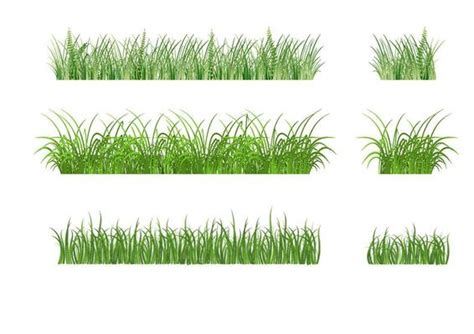 Grass Hatch Vector Art Icons And Graphics For Free Download