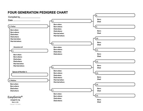 4 Generation Pedigree Chart Template