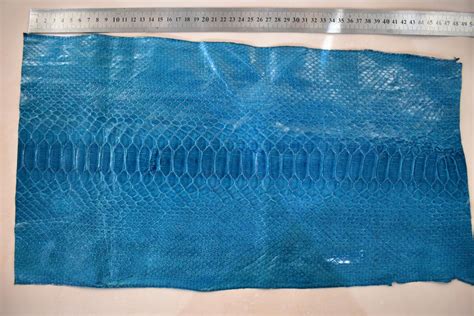 couro de python 015 12 01